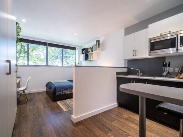 Studio to rent