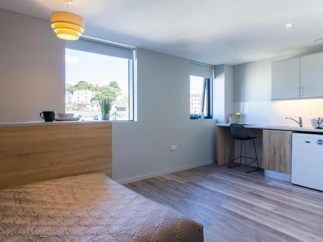 Studio to rent