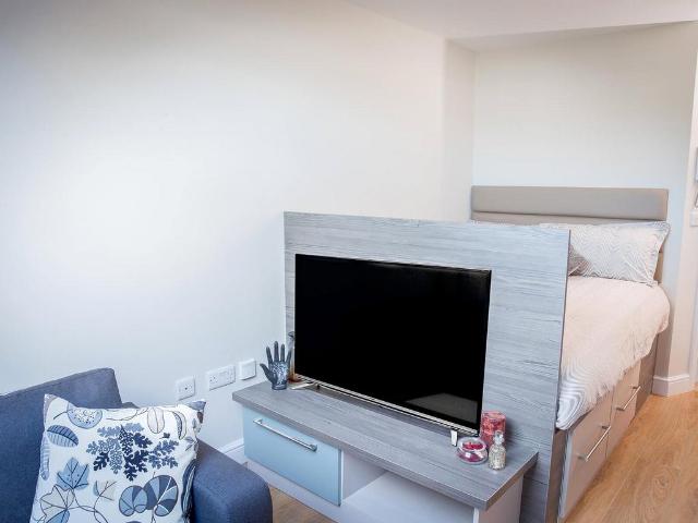 Studio to rent