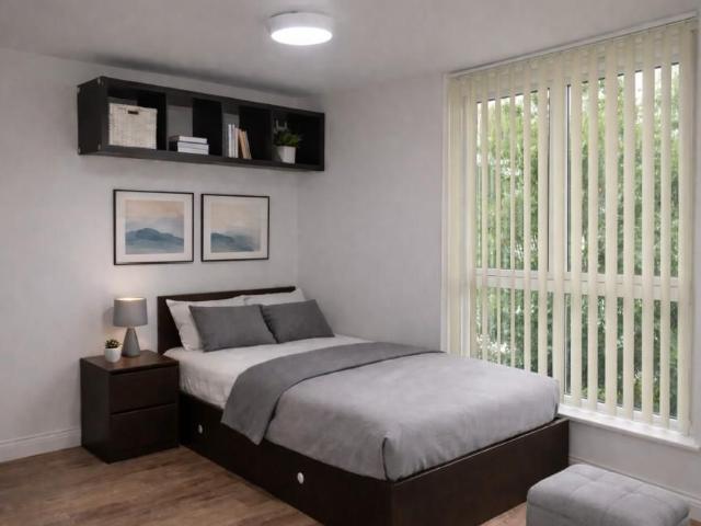 Studio to rent