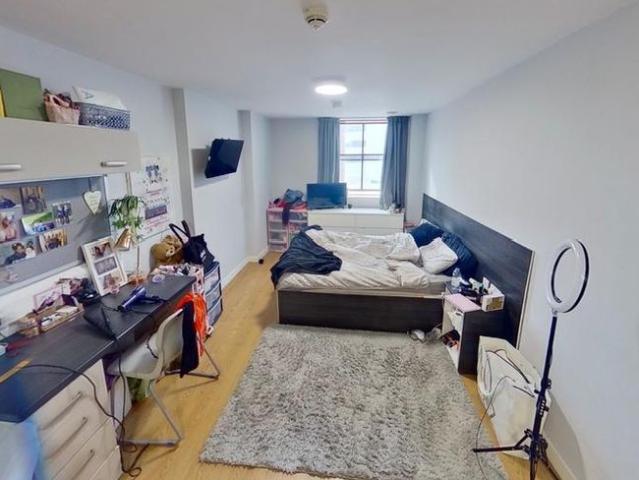 Studio to rent