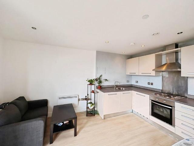 Studio to rent