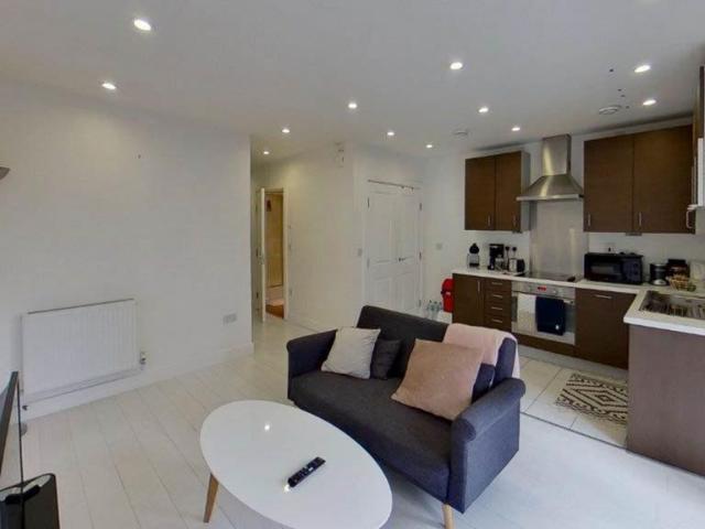 Studio to rent