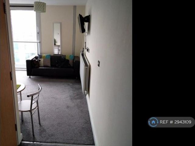 Studio to rent