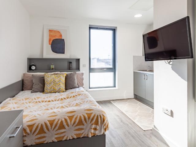 Studio to rent