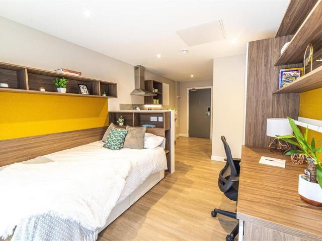 Studio to rent
