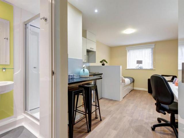 Studio to rent