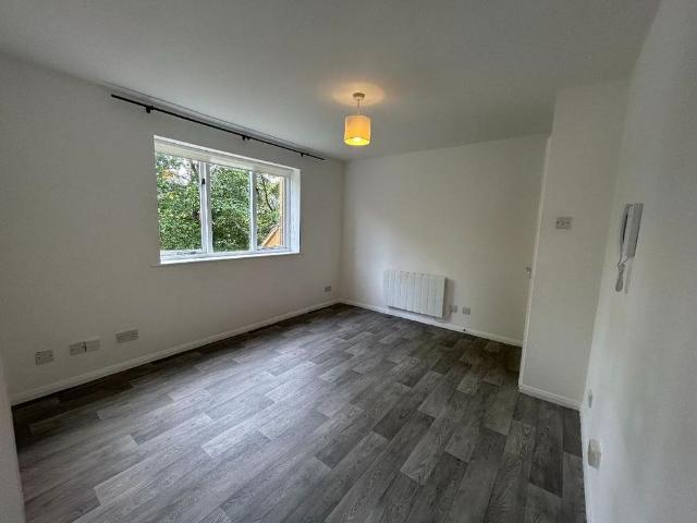 Studio to rent