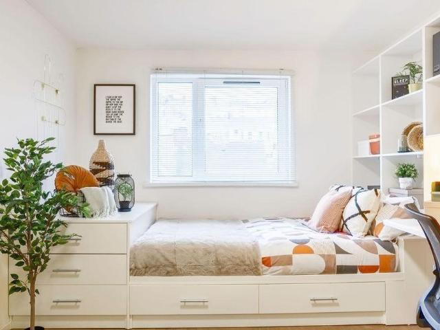 Studio to rent