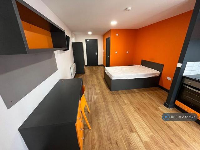 Studio to rent