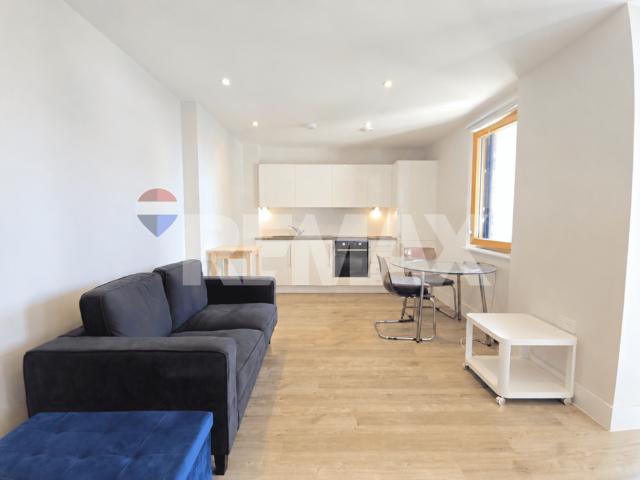 Studio to rent