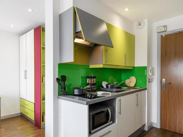 Studio to rent