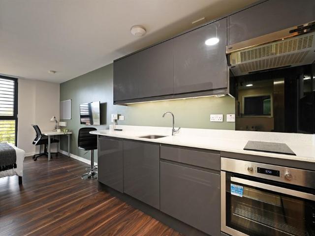 Studio to rent