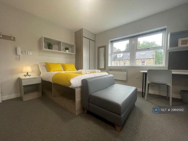 Studio to rent
