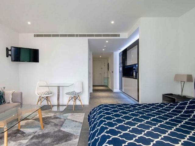 Studio to rent