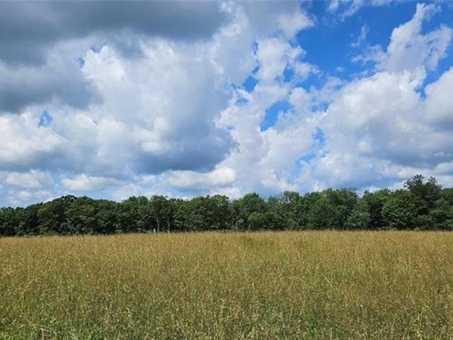 Stump Pond Rd, Callicoon Center, NY 12724