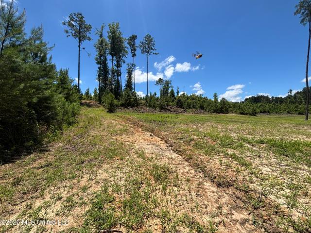 Stump Road, Crosby, MS 39633