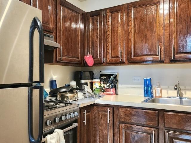 Stunning Studio w/ Free Storage, All Updated, Steps to Armitage Brown Line