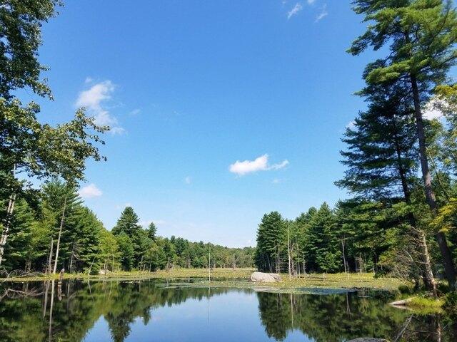 Sturbridge MA 01518 103431244