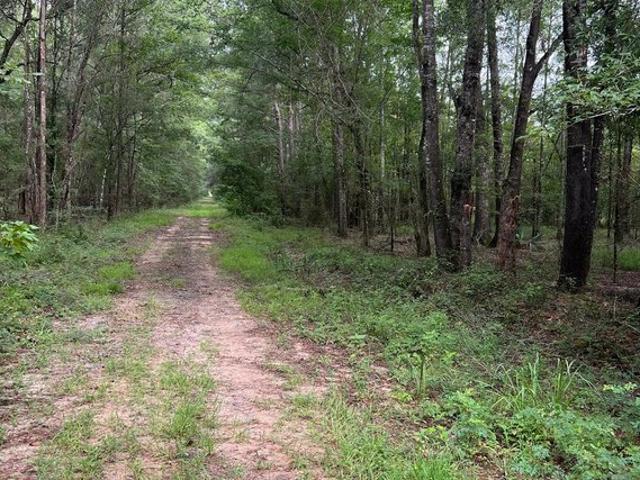 Sturgis Mill Rd, Hemphill, TX 75968