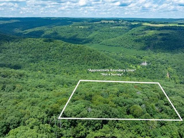 Sumac Ln, Clinton, AR 72031