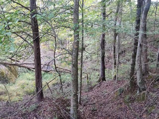Summertown Rd, Jasper, TN 37347