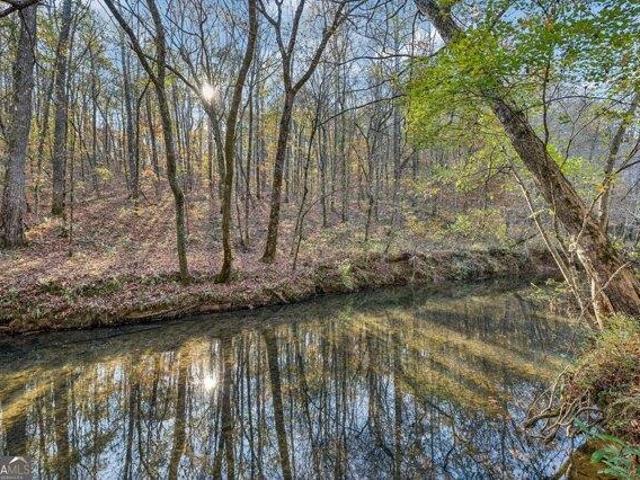 Summerville GA 30747 91879957