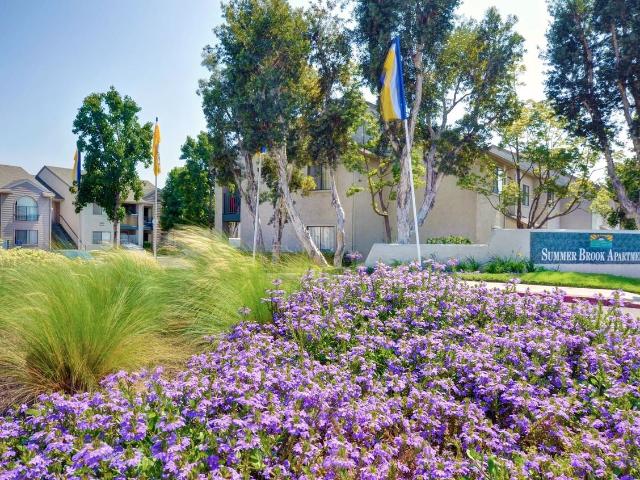 Summer Brook Apartments 1 Bedroom Apartment for Rent at 1587 Oro Vista Rd, San Diego, CA 92154 Nestor