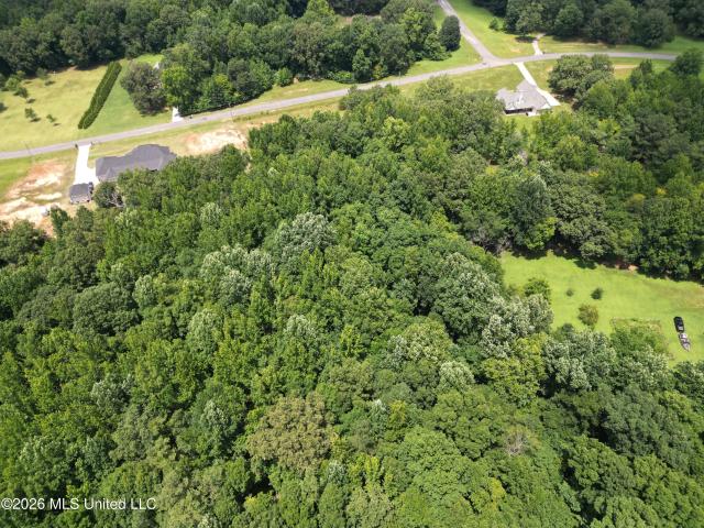 Summer Oaks Drive, Lamar, MS 38642