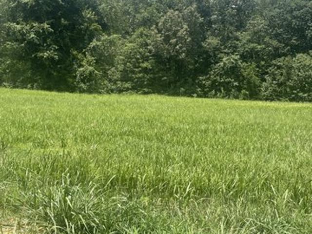 Summerlake Ct, Winchester, TN 37398
