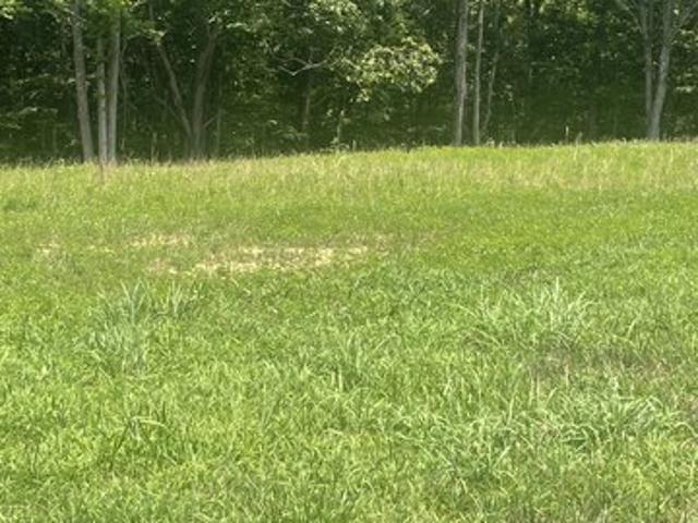 Summerlake Ct, Winchester, TN 37398