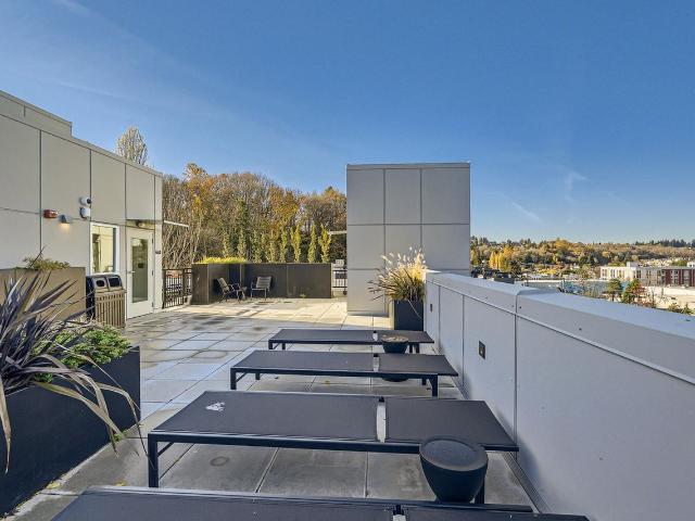 Summerstone Studio Apartment for Rent at 5231 Rainier Ave S, Seattle, WA 98118 Columbia City