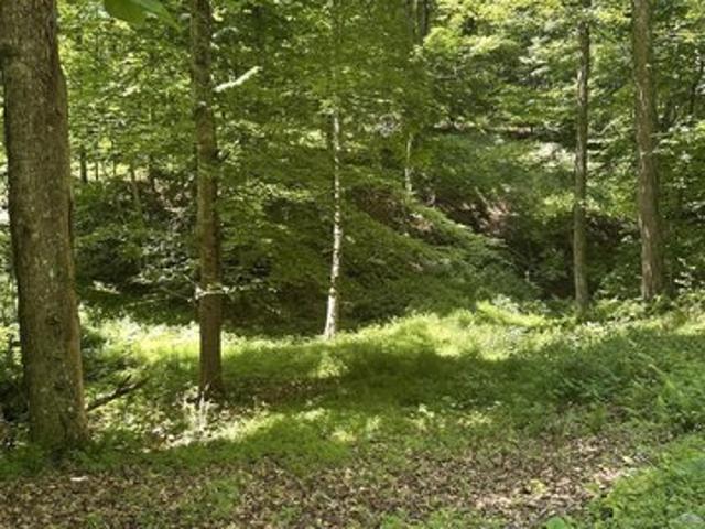 Summersville, WV 24701