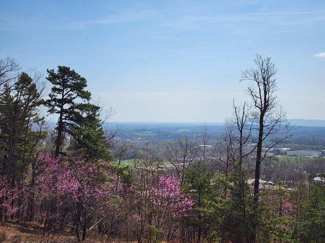 Summit Dr Lot,rocky Mount, Plot For Sale