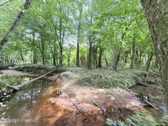 Summit Dr, Summit, MS 39666