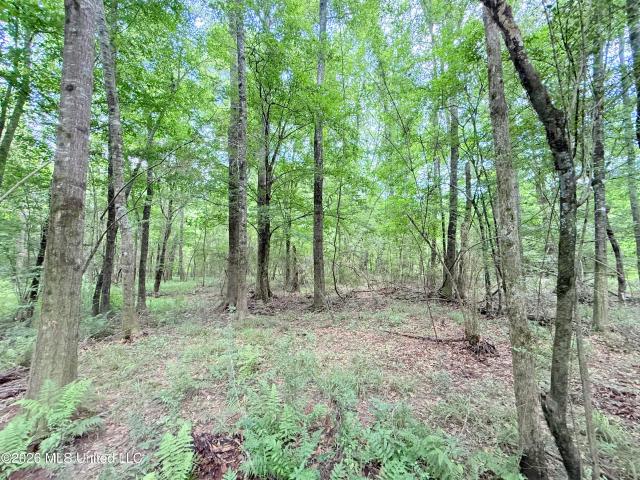 Summit Drive, Summit, MS 39666