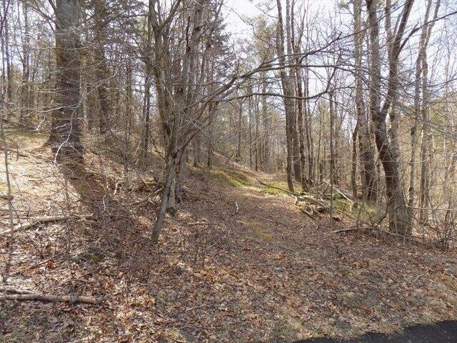 Summit Hill Rd Lot,washington, Plot For Sale