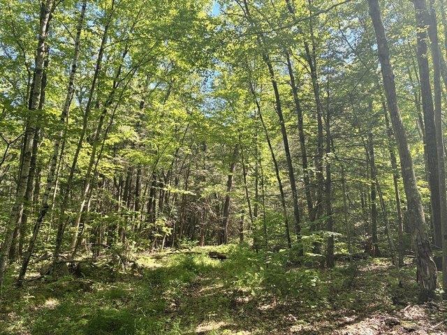 Summit St, Belchertown, MA 01007