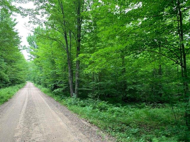 Summit Woods Ln, Gleason, WI 54435