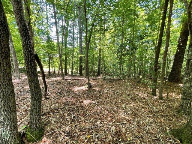 Summit Way Lot 15, Blairsville, GA 30512