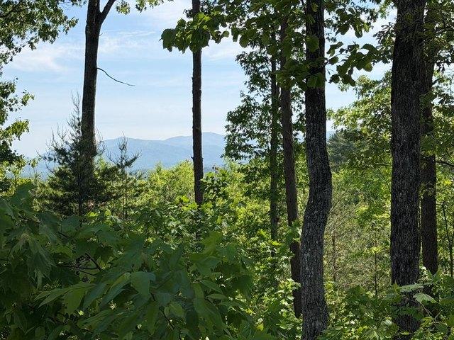 Summit View Ln Lot 31, Ellijay, GA 30540
