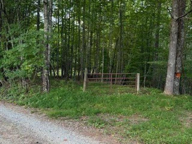 Sumner Ln NE, Floyd, VA 24091