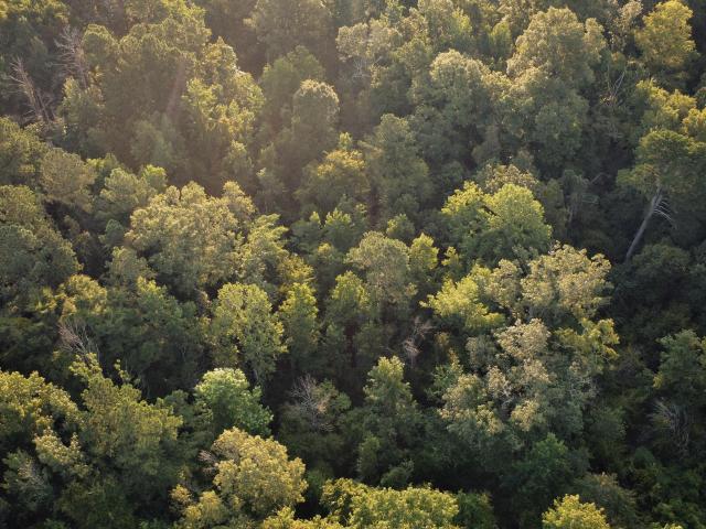 Sumrall Road, Crystal Springs, MS 39059