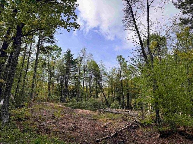 Sun And Ski Rd, Wilmington, Plot For Sale