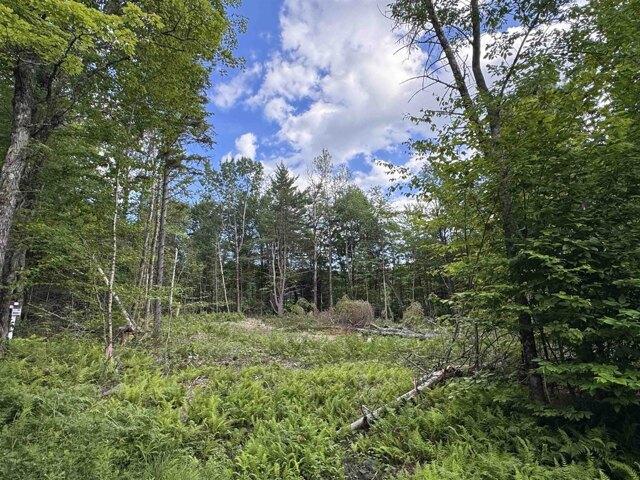 Sun And Ski Rd, Wilmington, Plot For Sale