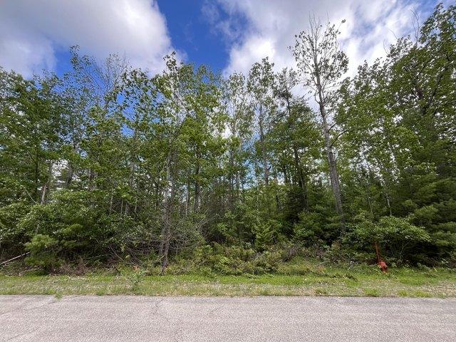 Sunaqua Dr Lot 123, Presque Isle, MI 49777