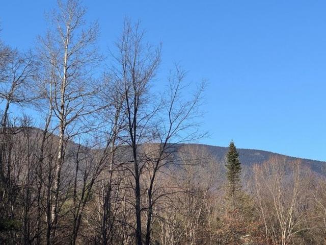 Sunderland Hill Rd Lot 21, Sunderland, VT 05250