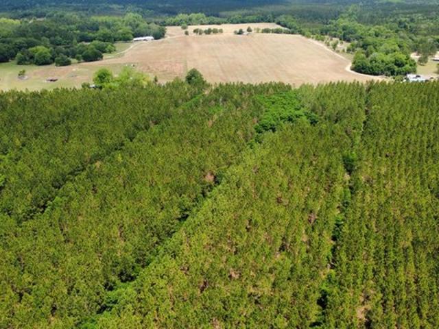 A L Reeves Rd, Fitzgerald, GA 31750