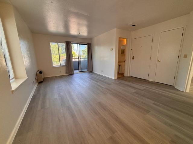 Sunny 1 Bedroom Apartment in Concord