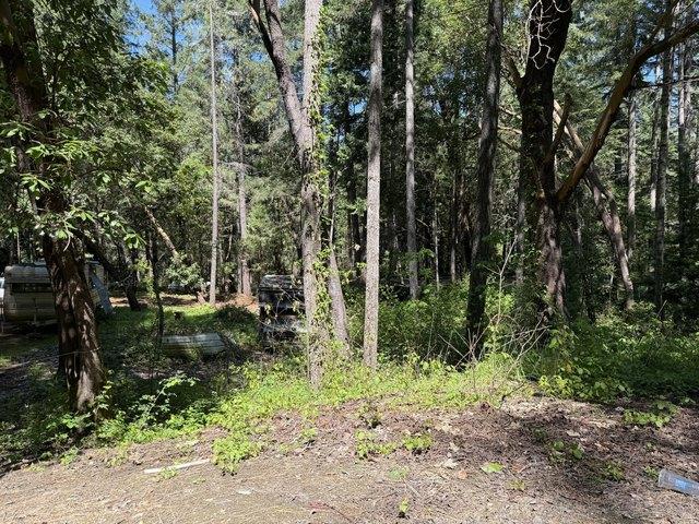 Sunny Valley Loop, Wolf Creek, OR 97497